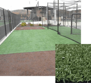 Recreational Shawgrass Turf | Family Turf Wholesalers in Huntington ...